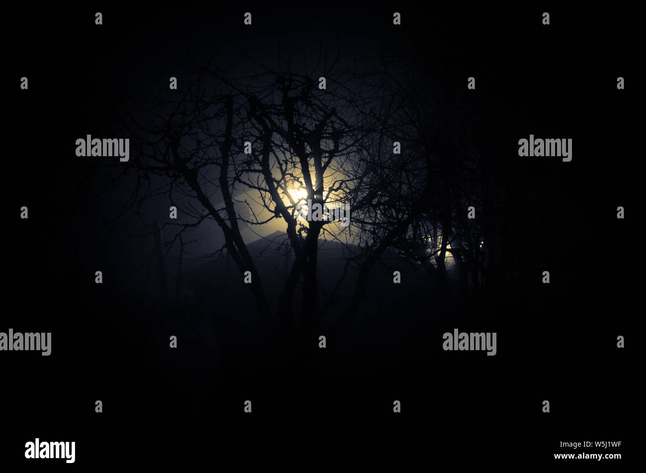 Shining moon hi-res stock photography and images - Alamy