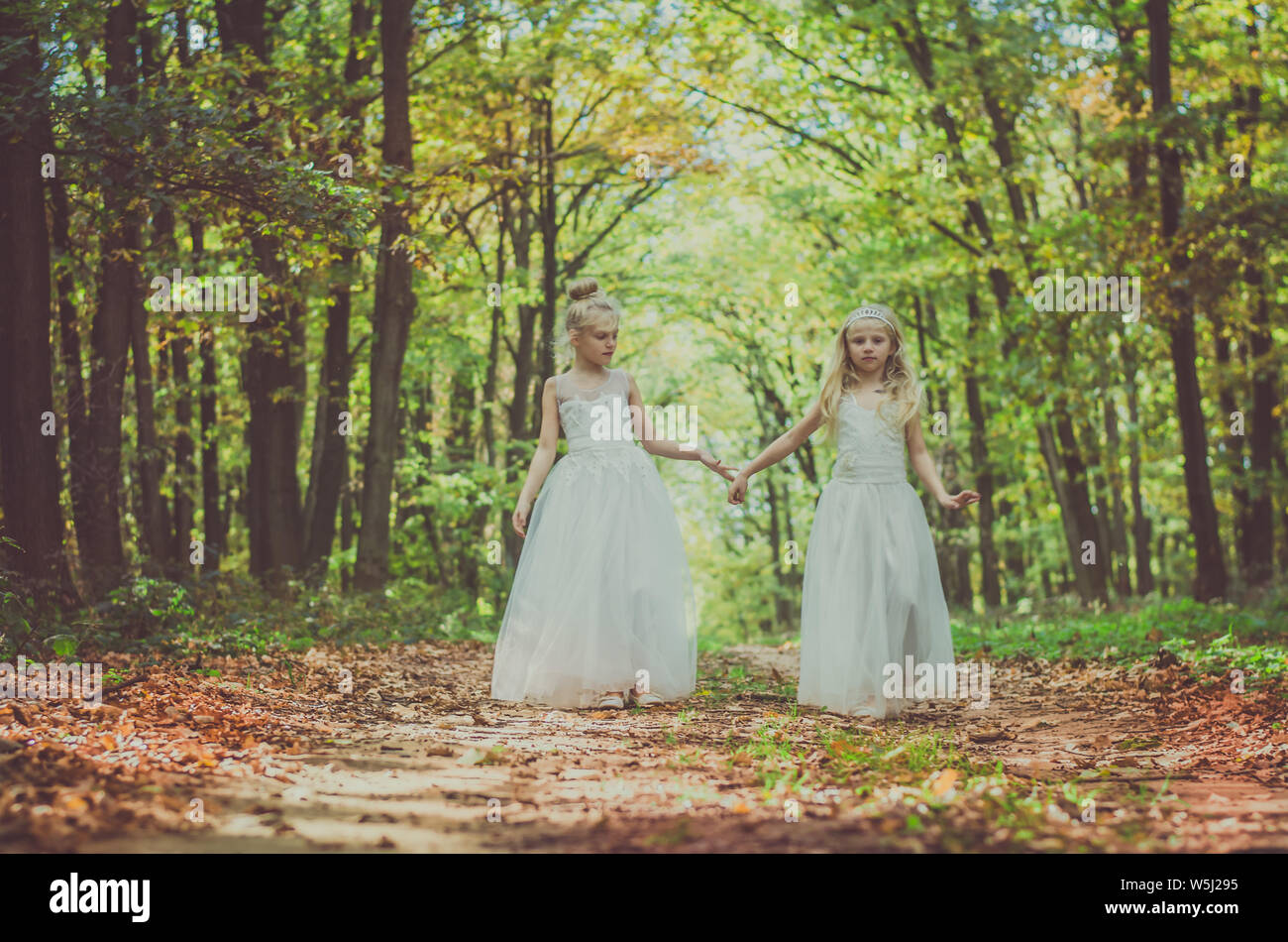 two little princesses in wedding dress walking in path among autumnal ...