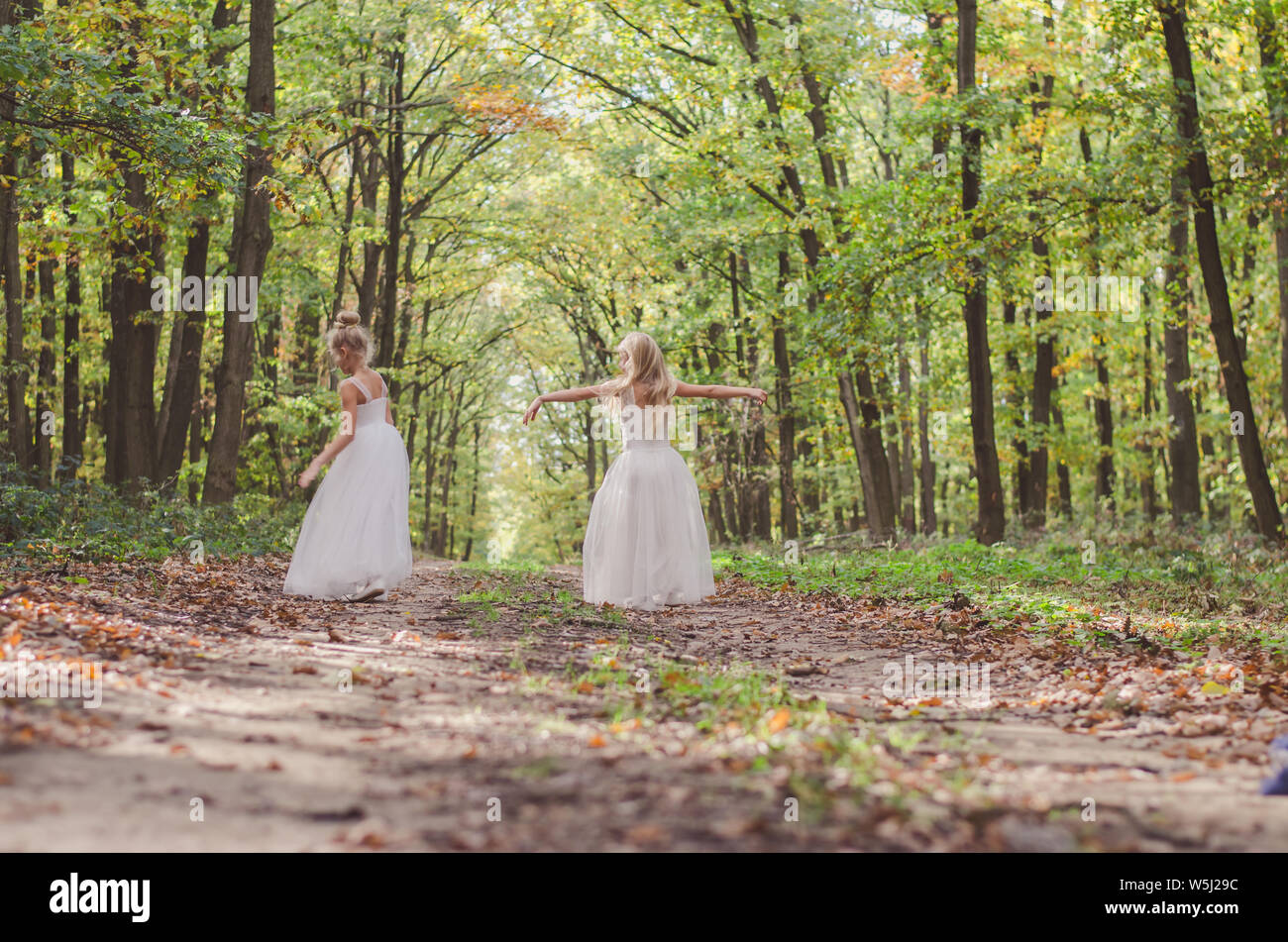 two little princesses in wedding dress walking in path among autumnal ...