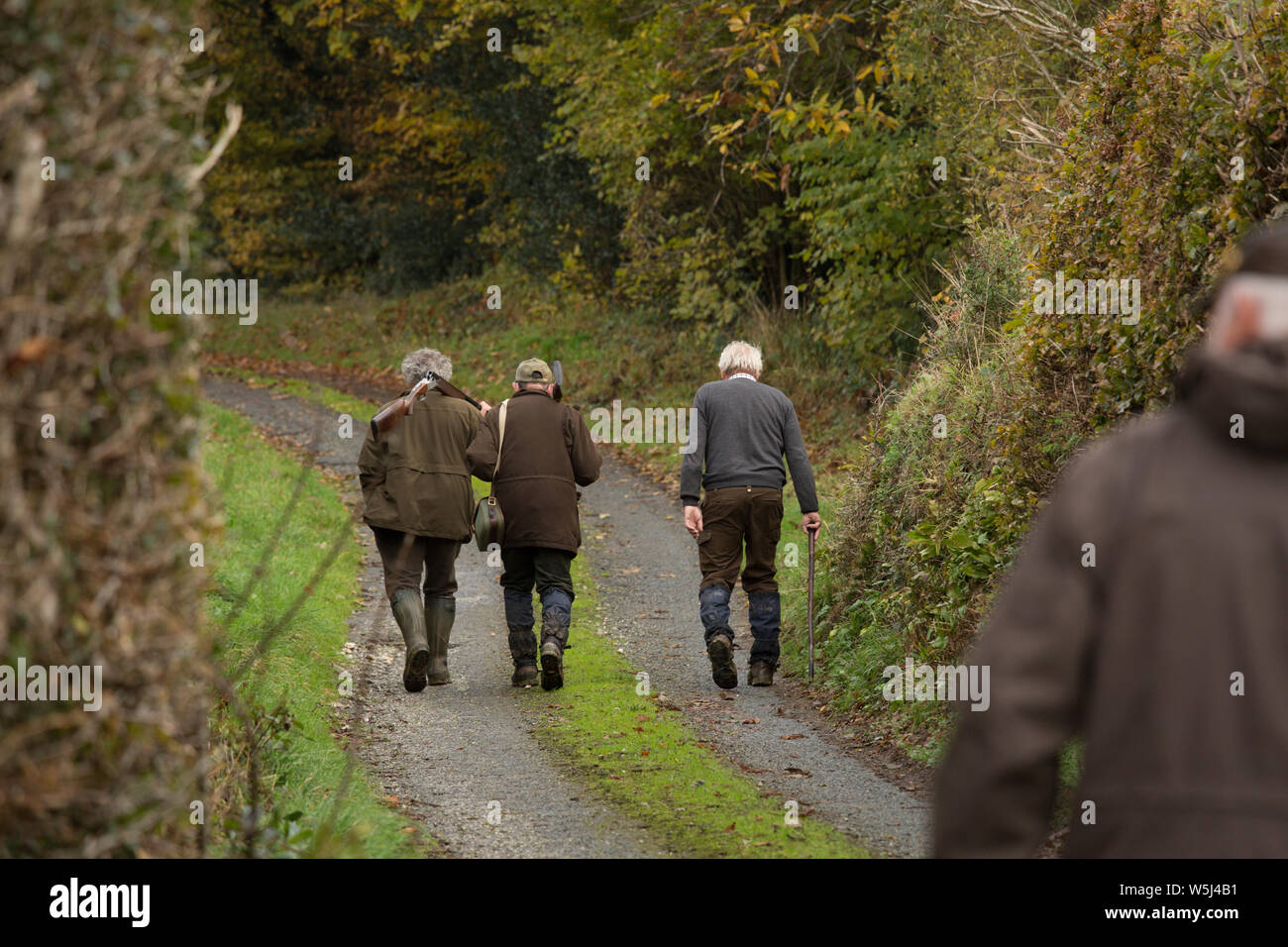Guns Walk Back to Their Transport on a Pheasant Shoot Stock Photo - Alamy