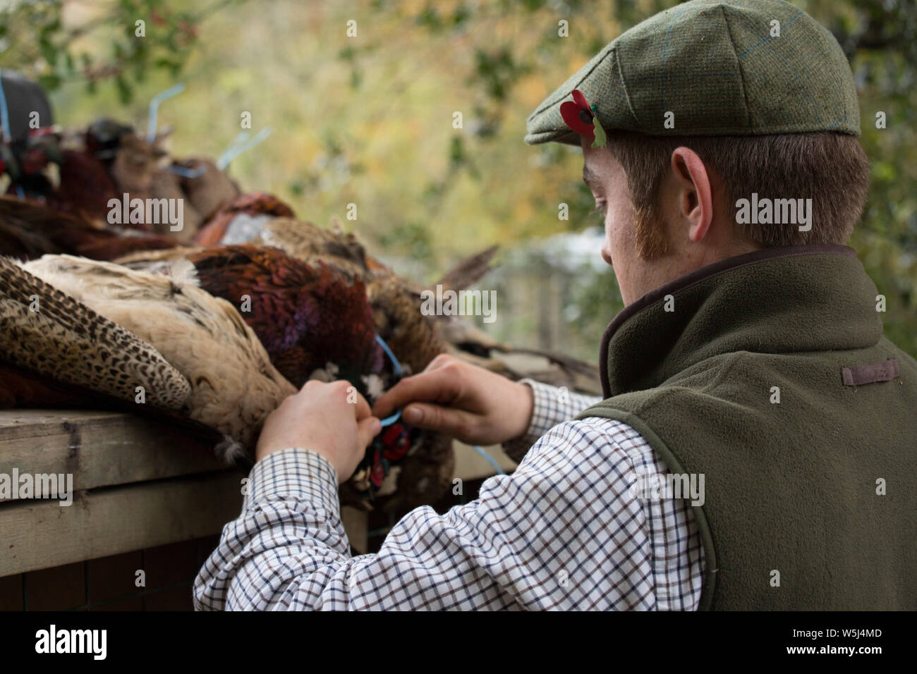 The english gamekeeper hi-res stock photography and images - Alamy