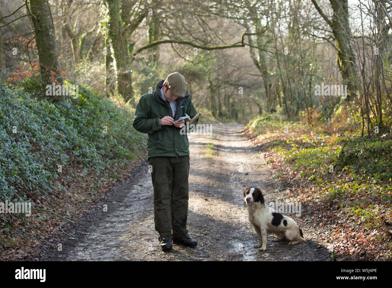 A Gamekeeper Updates His Records at the End of a Drive on a Pheasant ...