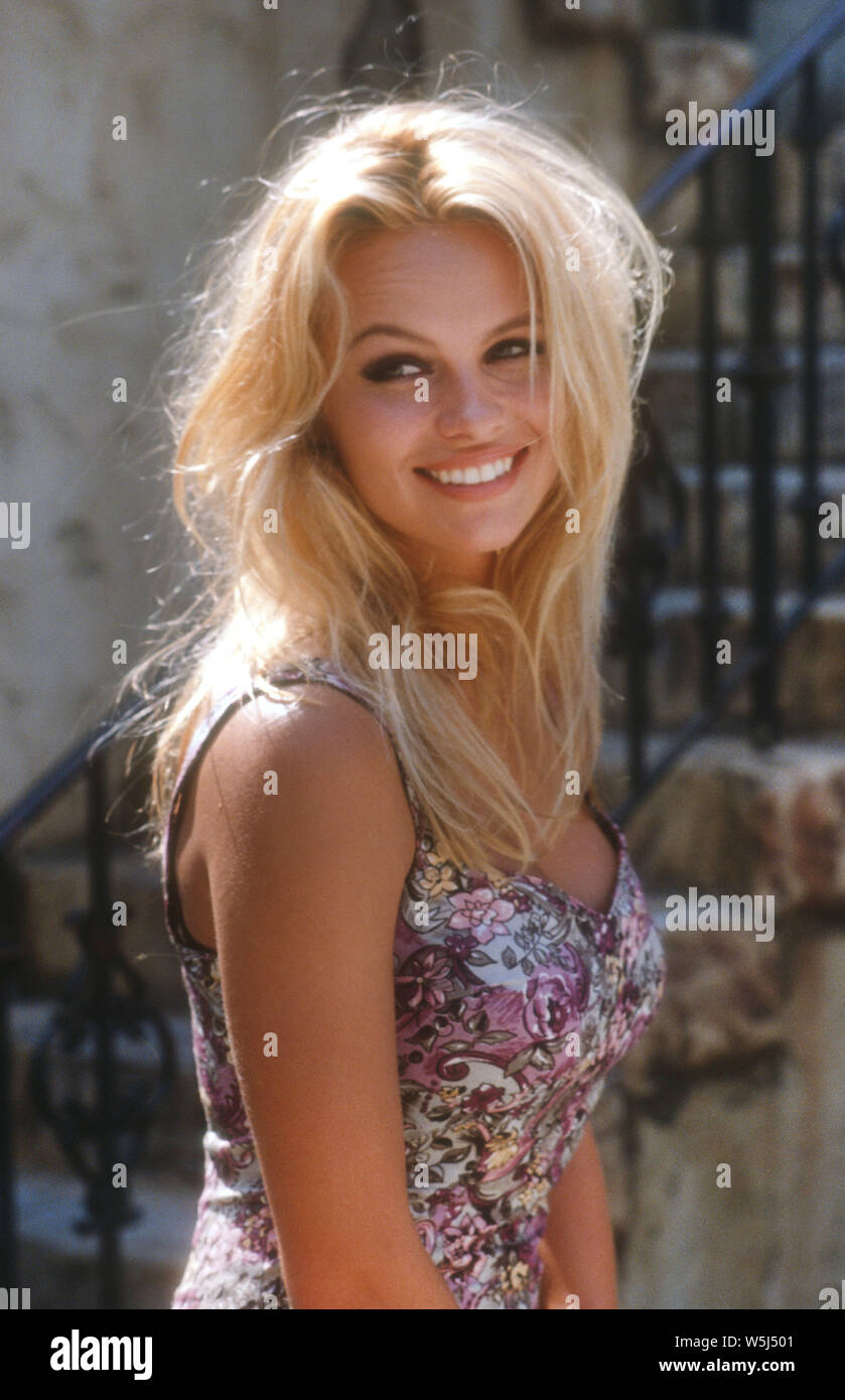 Pam Anderson1992 Photo By Michael Ferguson/PHOTOlink/MediaPunch Stock ...