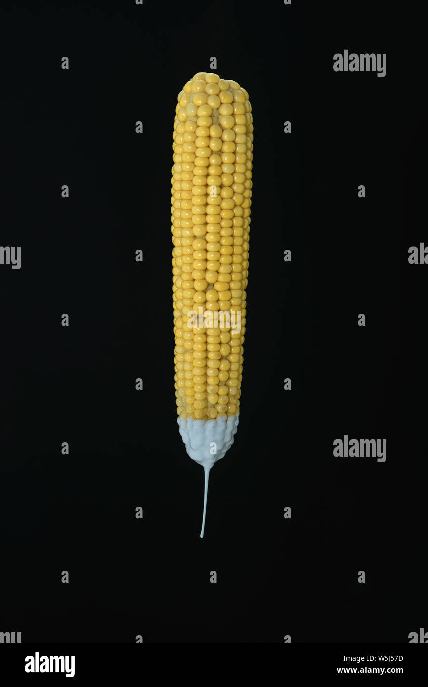Dripping white paint of corn maze on a black background. Creative ...