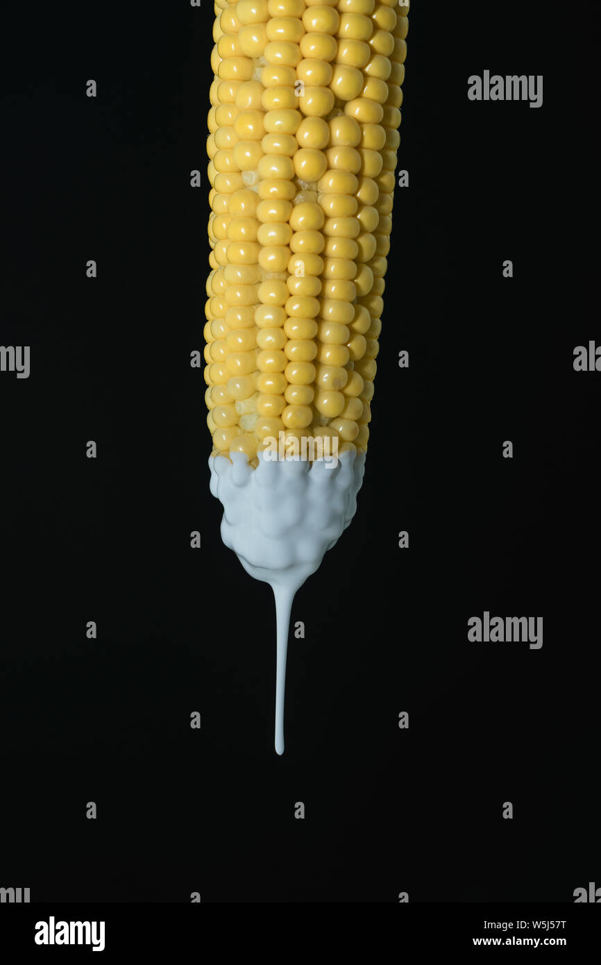Dripping white paint of corn maze on a black background. Creative ...