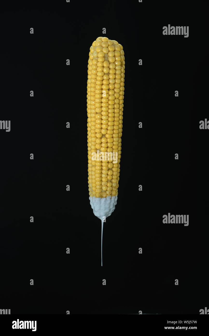 Dripping white paint of corn maze on a black background. Creative ...