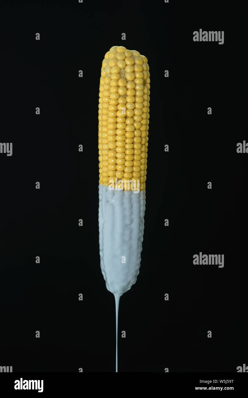 Dripping white paint of corn maze on a black background. Creative ...