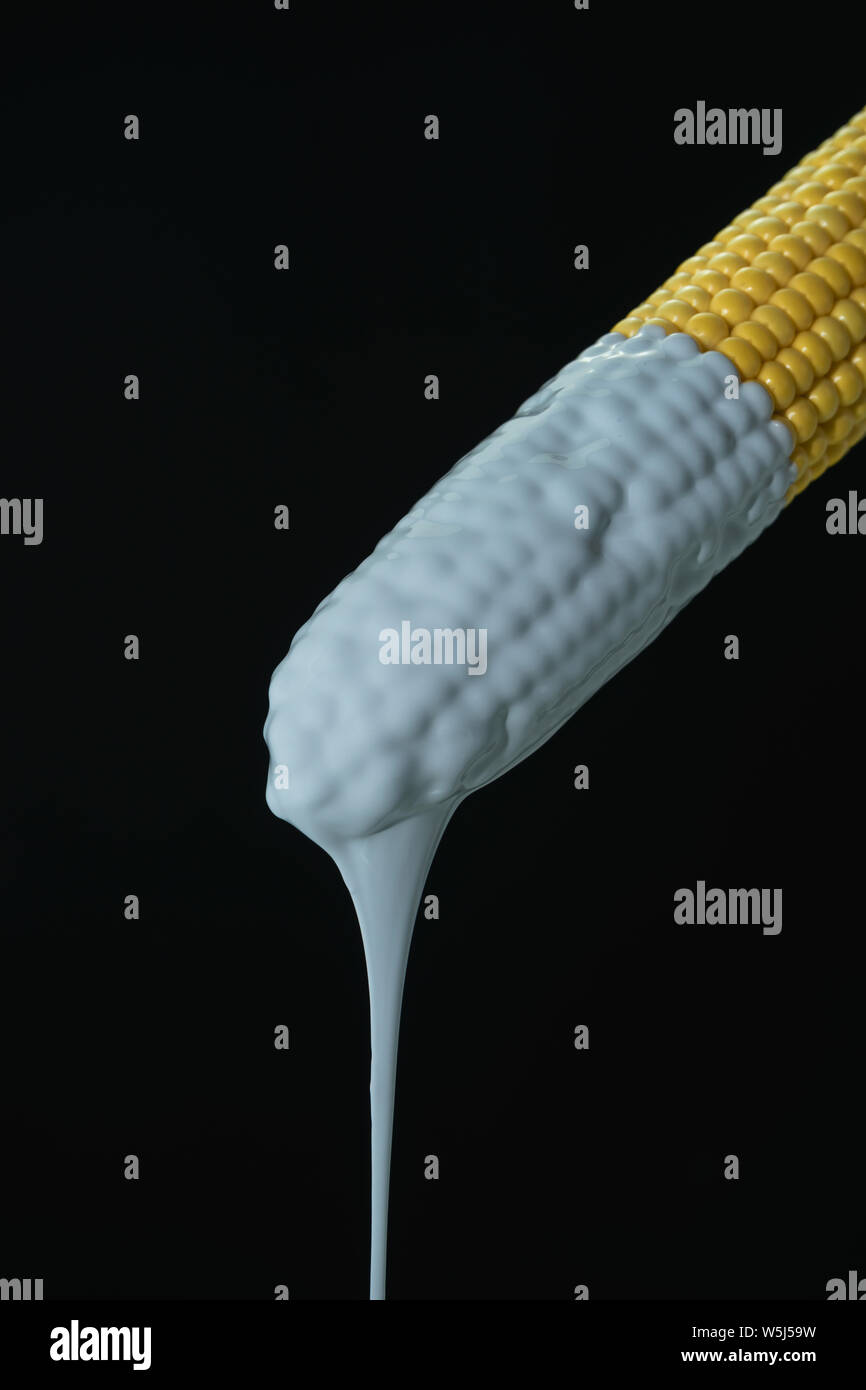 Dripping white paint of corn maze on a black background. Creative ...