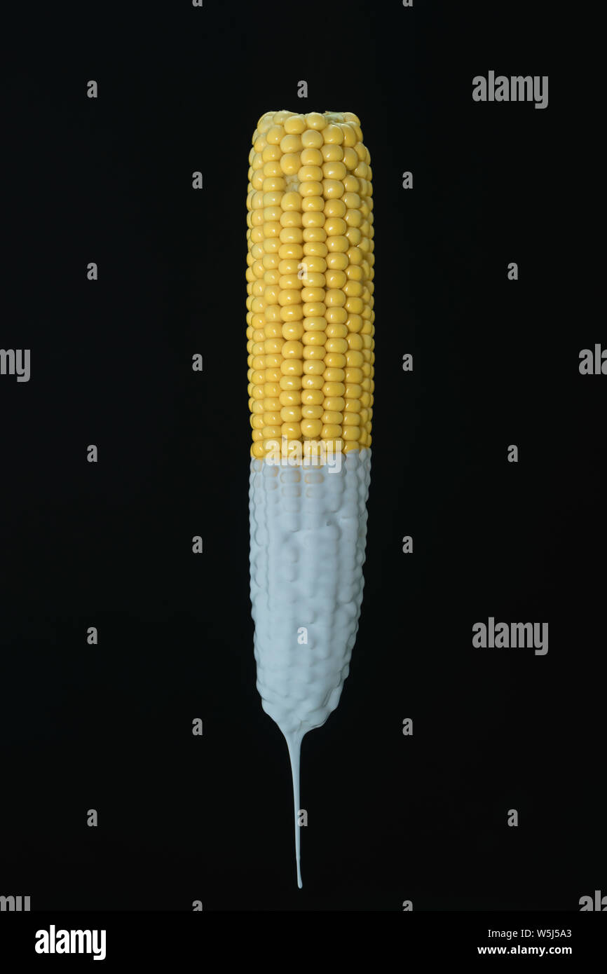 Dripping white paint of corn maze on a black background. Creative ...