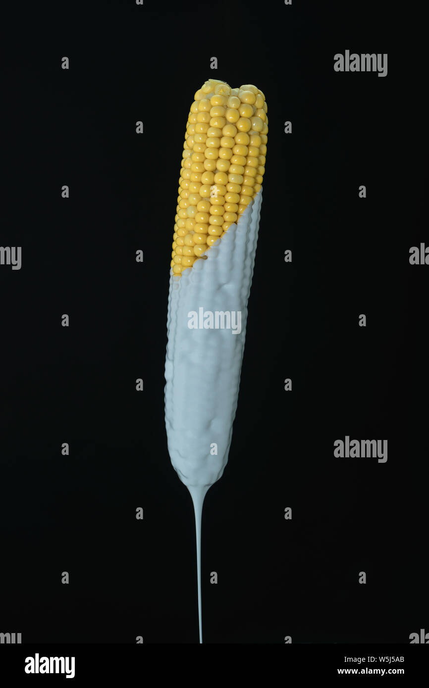 Dripping white paint of corn maze on a black background. Creative ...