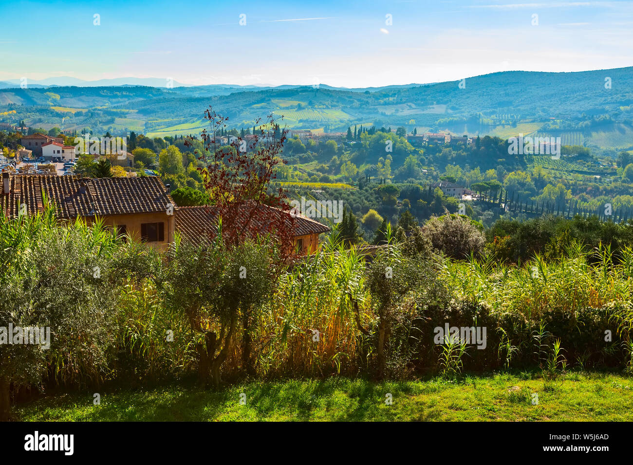 Tuscan autumn panoramic landscape with vineyards, cypress trees, houses ...