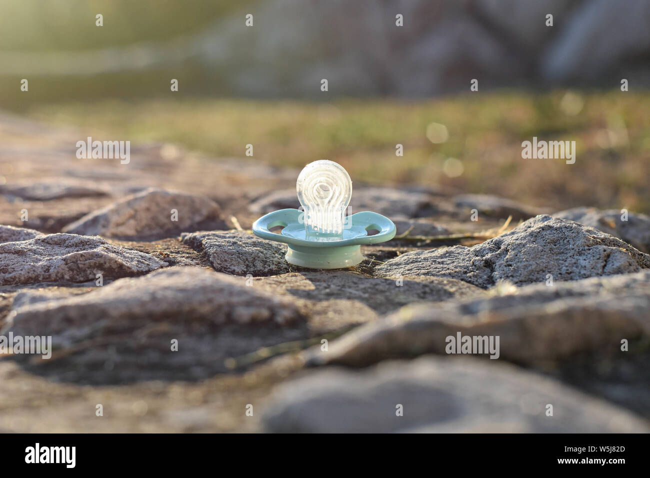 Closeup of Blue baby dummy/ pacifier lost in the garden - Image Stock ...