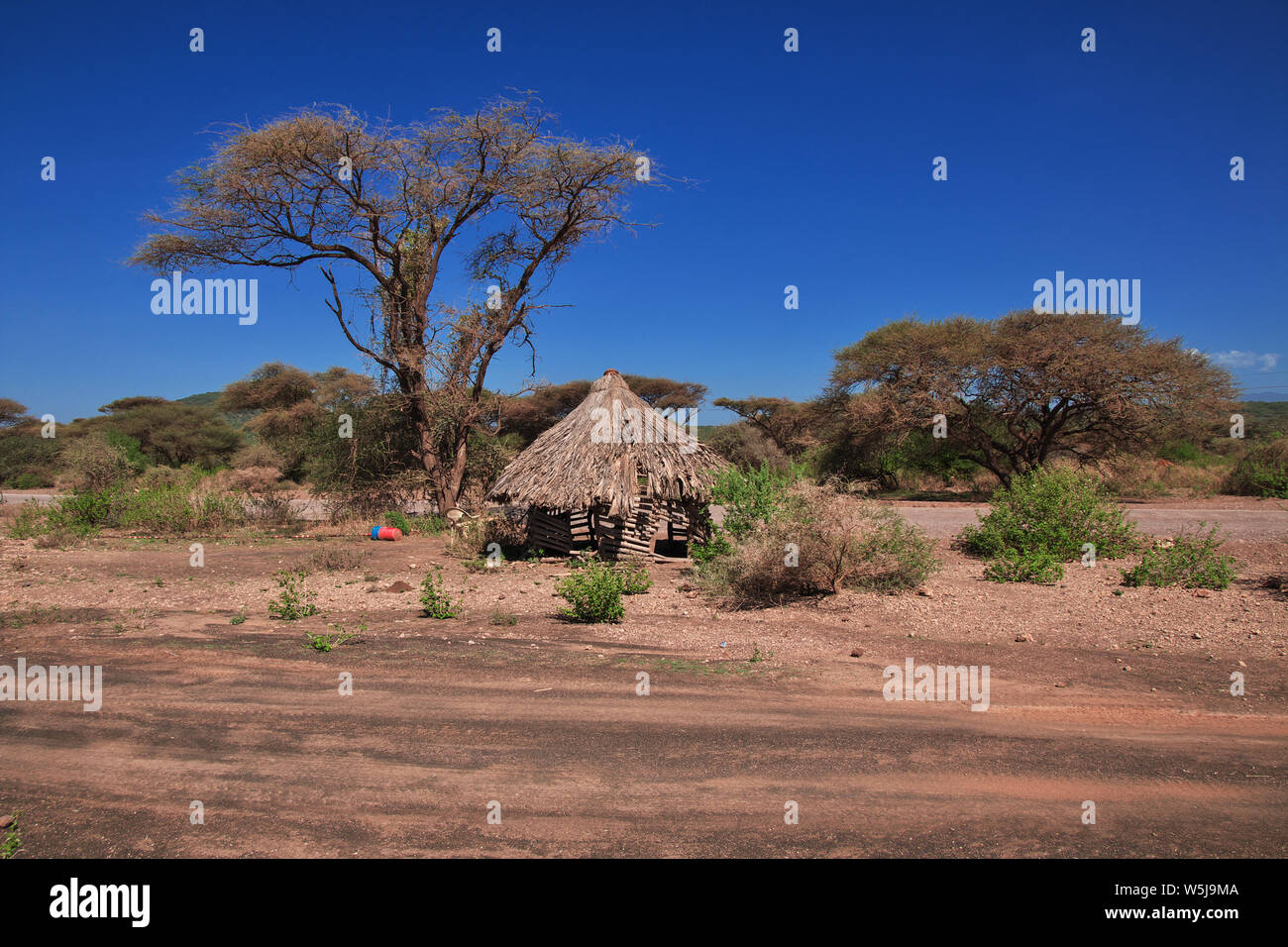 House in village of Bushmen, Africa Stock Photo - Alamy