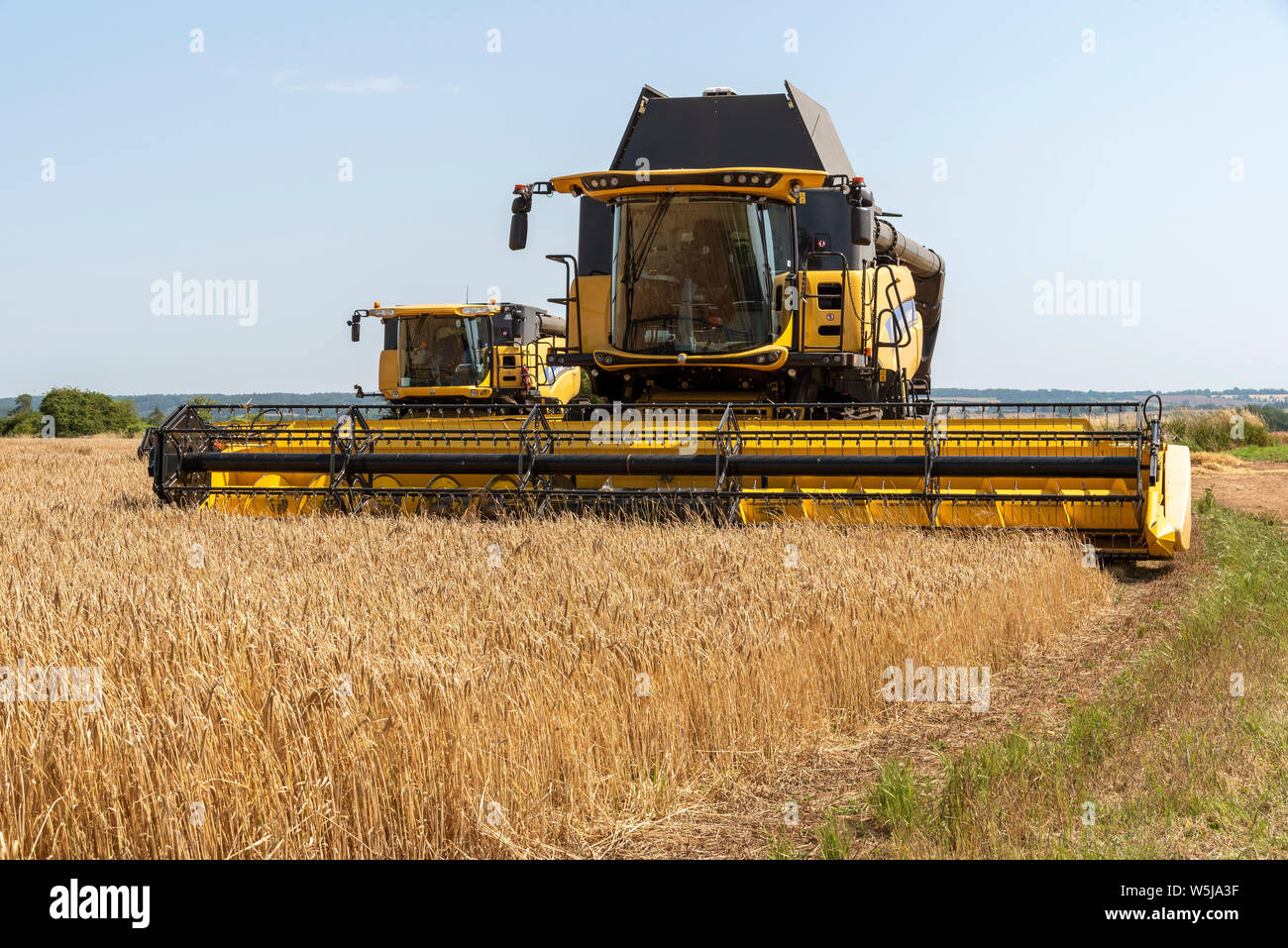 Cheltenham, Gloucestershire, England, UK, Combine harvester harvesting ...