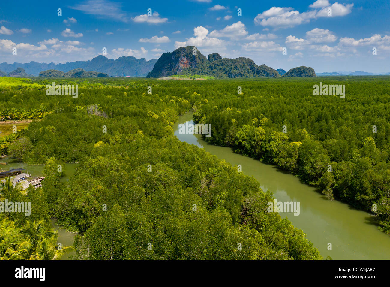 Low aerial view of beautiful mangrove forest and distant limestone ...