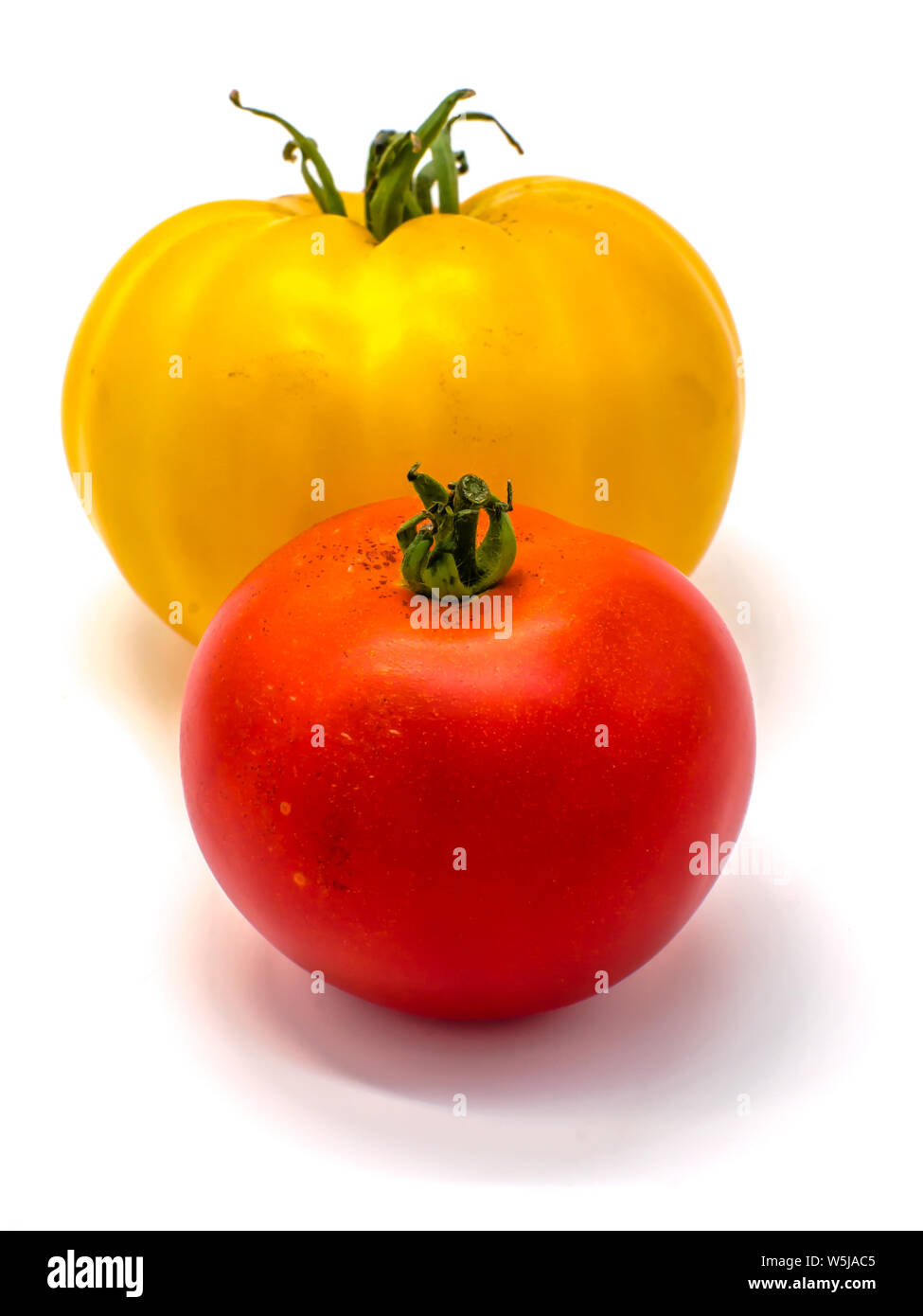 yellow and red tomatoes on a white background isolated Stock Photo - Alamy