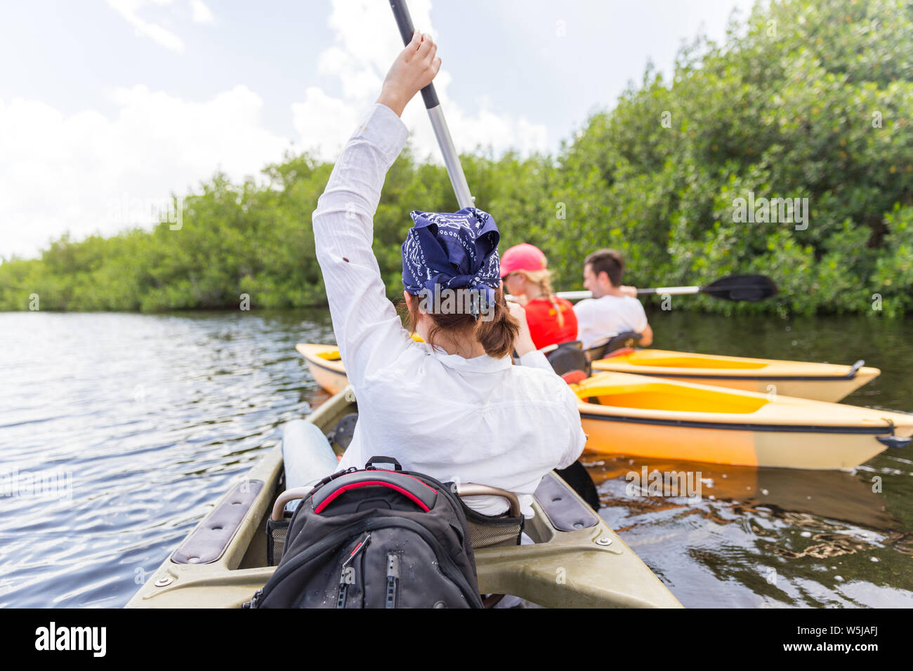Tourist kayaking in mangrove forest in Everglades Florida, USA Stock ...