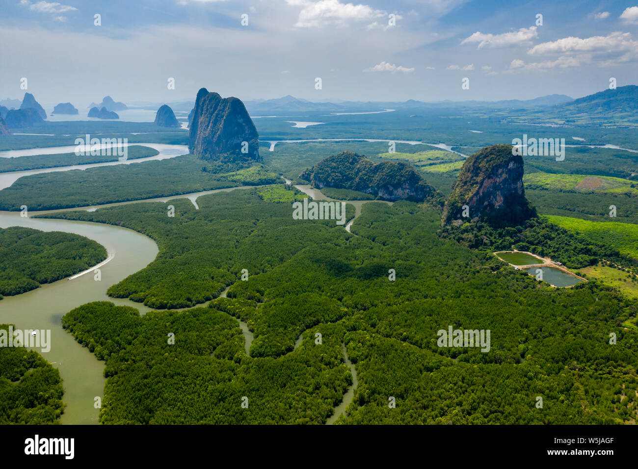 Aerial view of mangrove forest and huge limestone cliffs in southeast ...