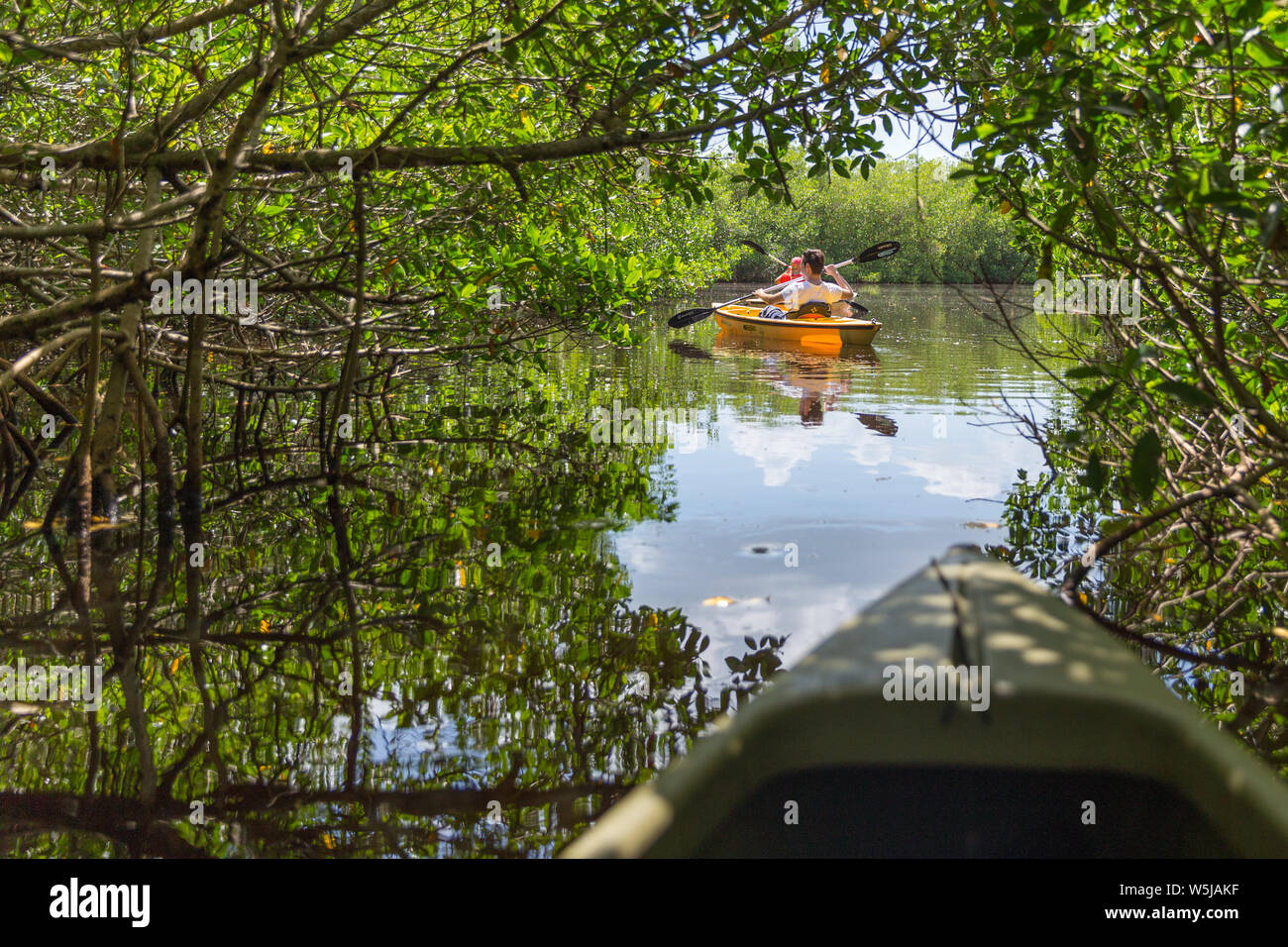 Everglades canoe trail hi-res stock photography and images - Alamy