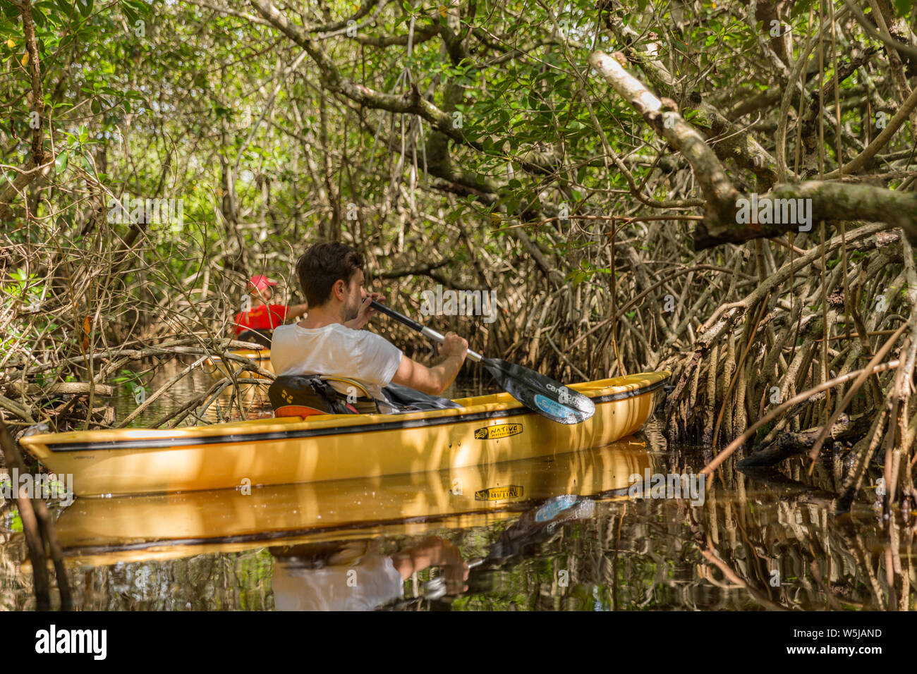 Everglades canoe trail hi-res stock photography and images - Alamy