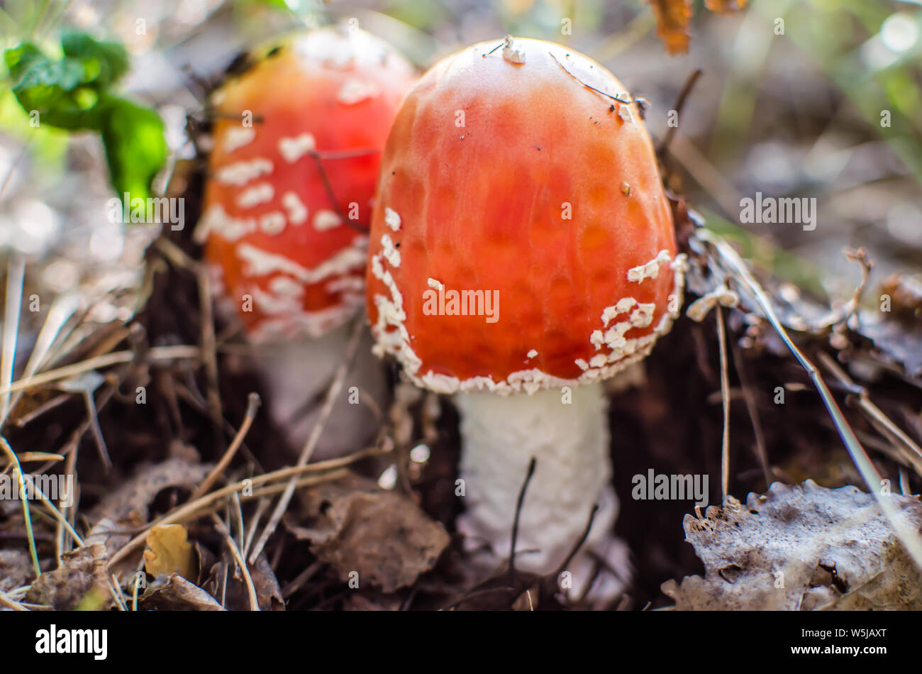 Fly tipper hi-res stock photography and images - Alamy