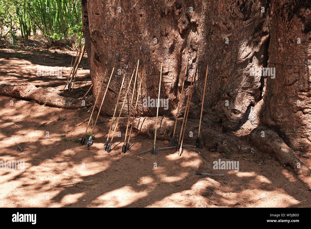 Bushmens hi-res stock photography and images - Alamy
