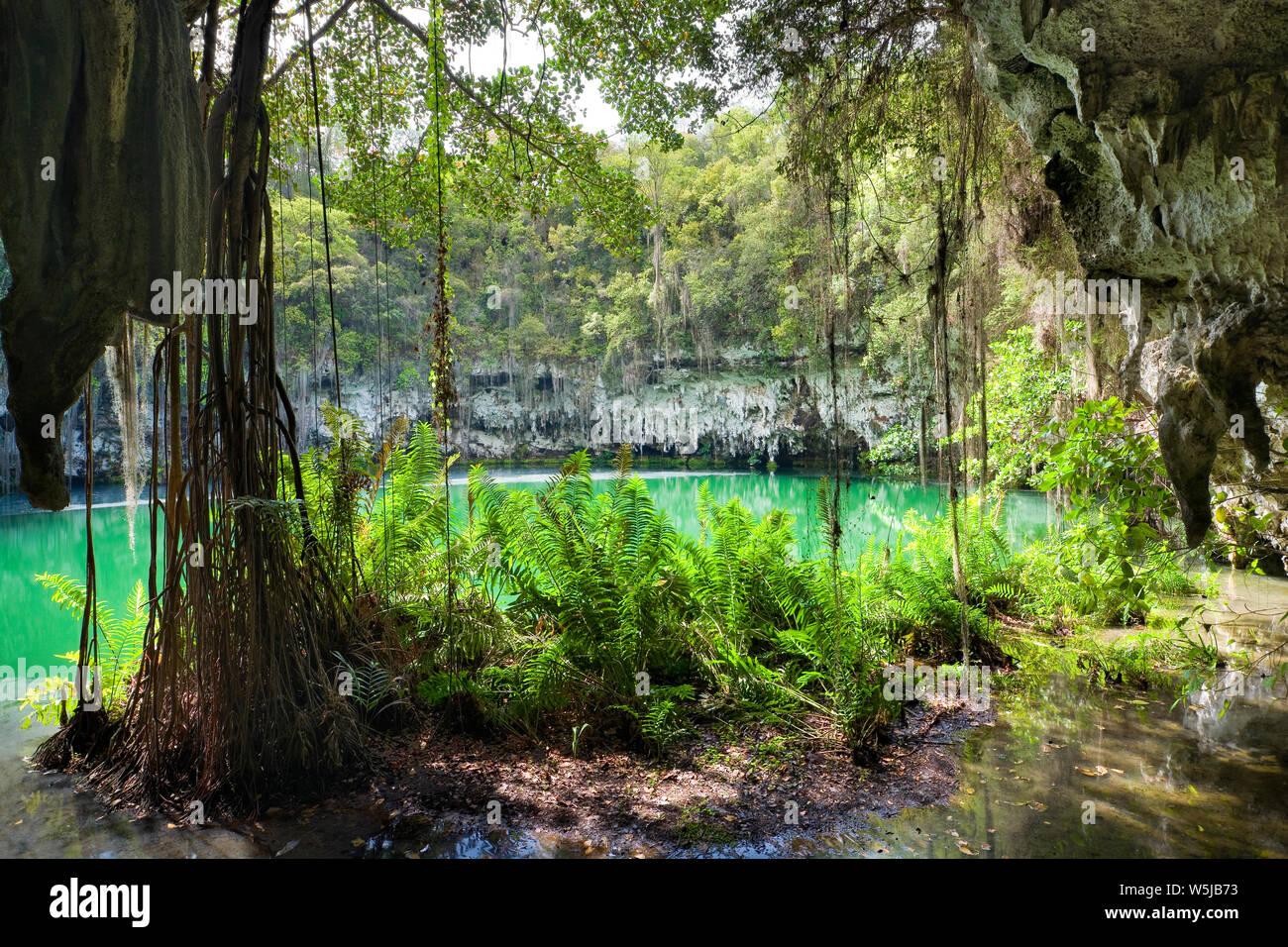 Los Tres Ojos - series of three lakes located in limestone cave in ...