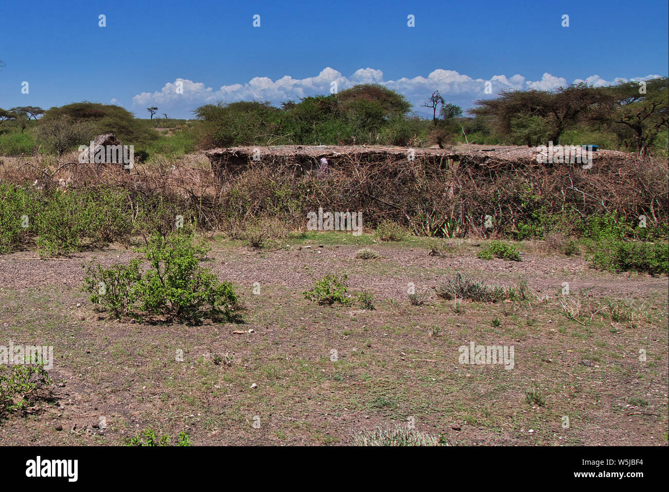 House in village of Bushmen, Africa Stock Photo - Alamy
