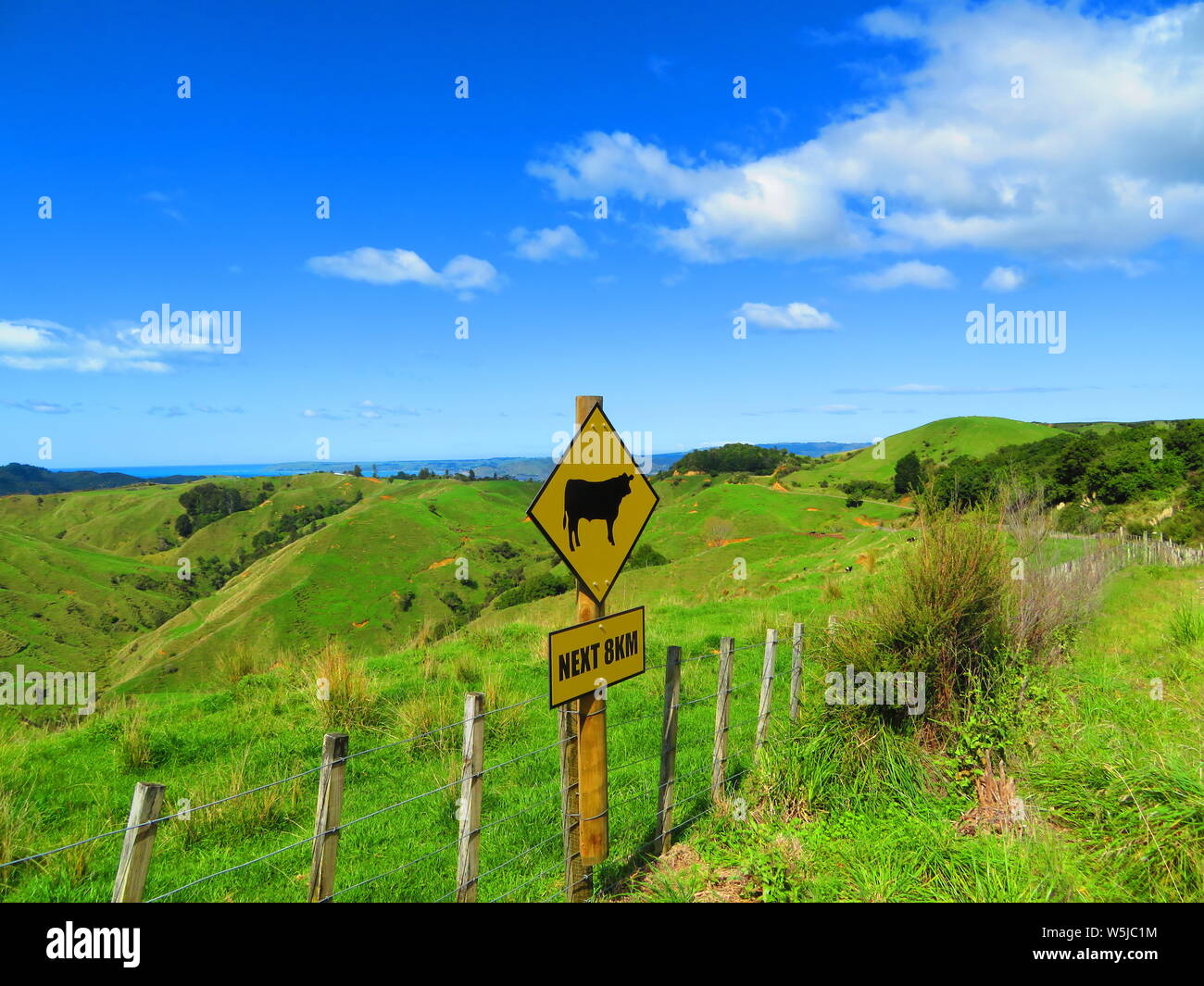 Cow warning sign hi-res stock photography and images - Alamy