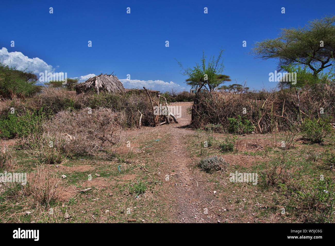 House in village of Bushmen, Africa Stock Photo - Alamy