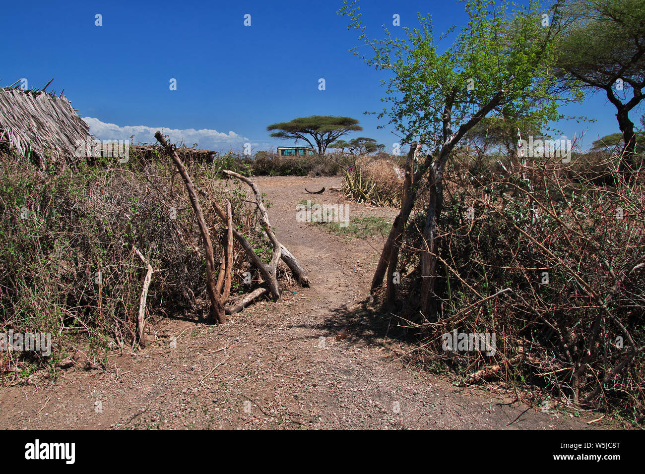 House in village of Bushmen, Africa Stock Photo - Alamy
