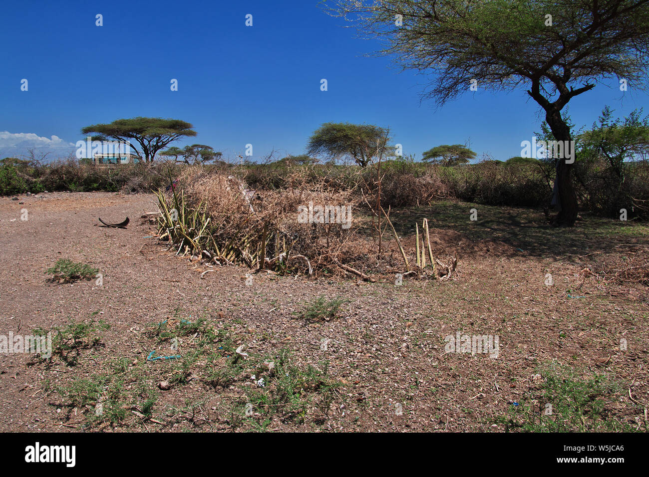 House in village of Bushmen, Africa Stock Photo - Alamy