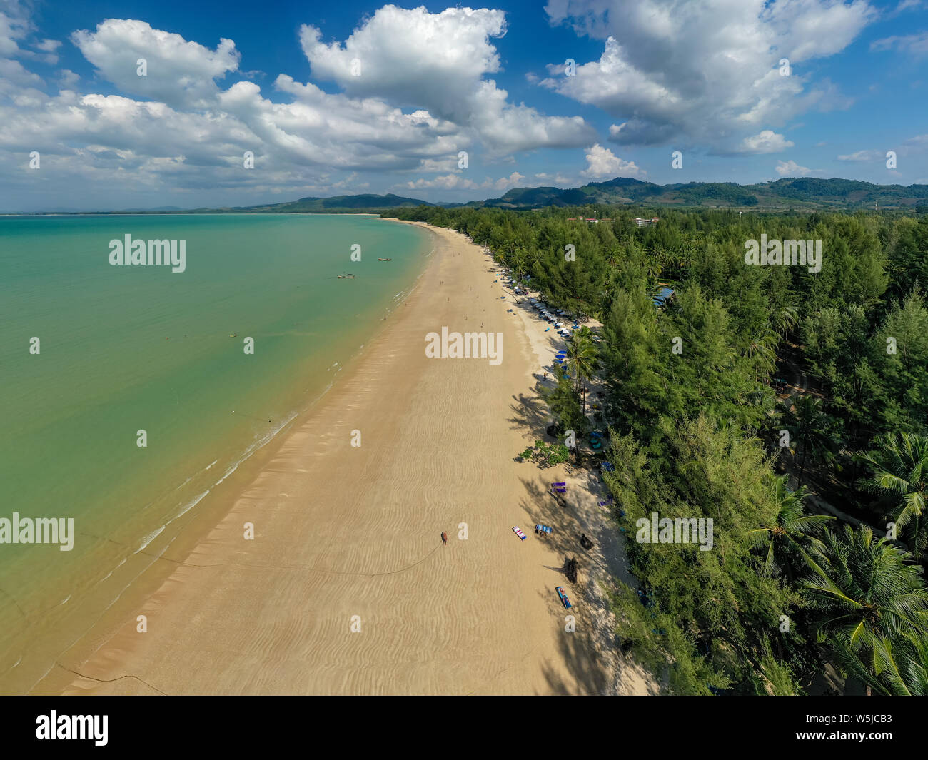 Aerial of tropical greenery hi-res stock photography and images - Alamy