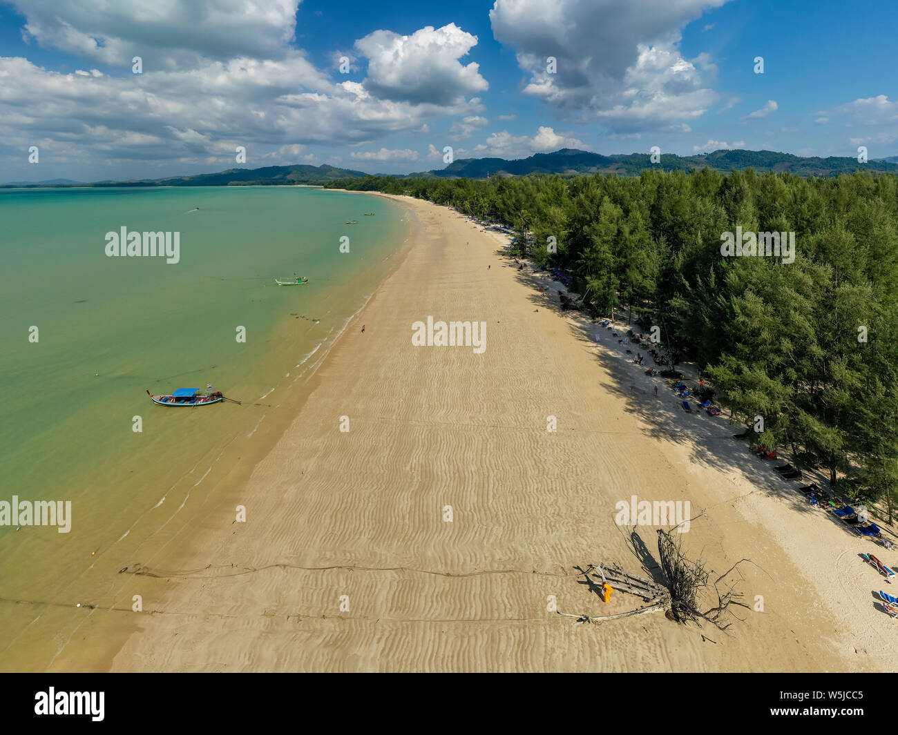 Aerial of tropical greenery hi-res stock photography and images - Alamy