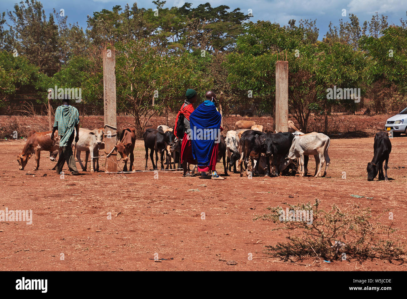 The local market in Africa, Moshi Stock Photo - Alamy