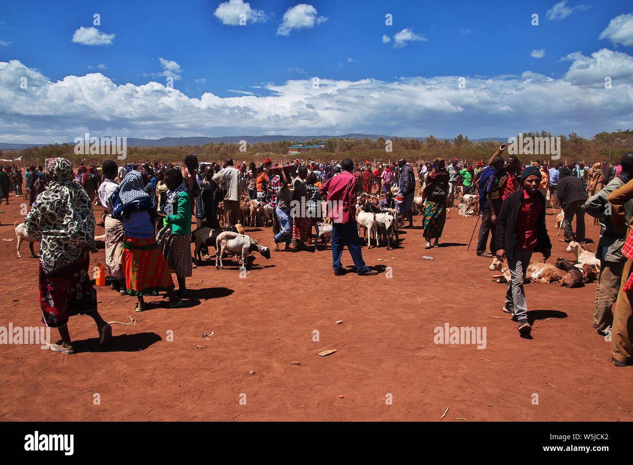 The local market in Africa, Moshi Stock Photo - Alamy