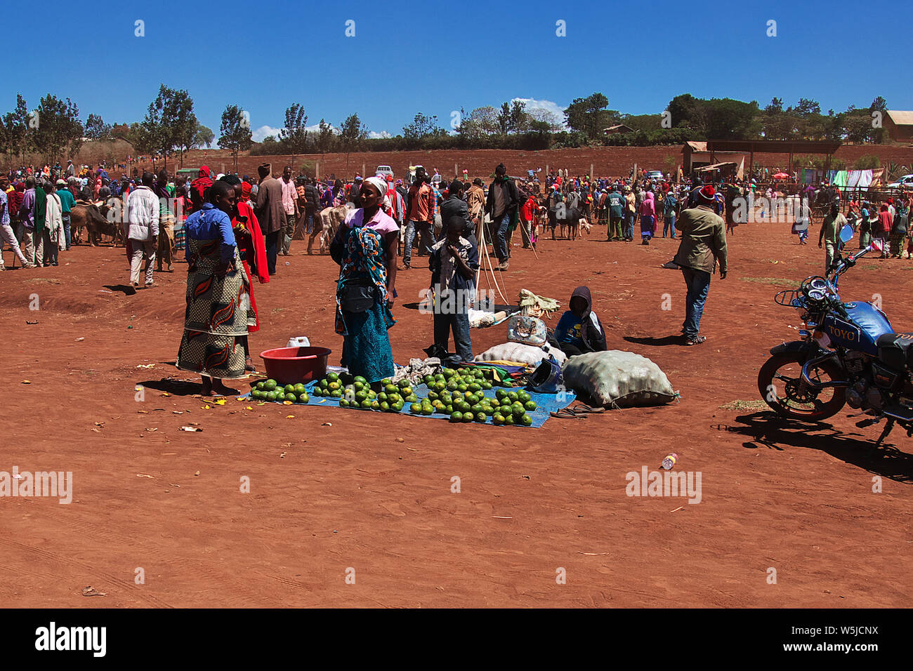 Fruits on the local market in Africa, Moshi Stock Photo - Alamy