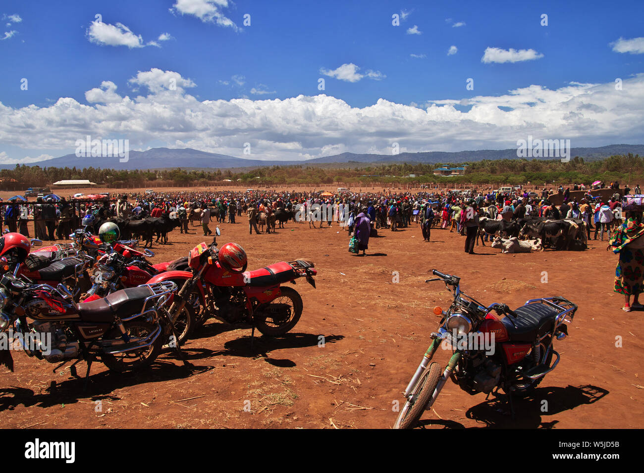 Nigerian culture male female hi-res stock photography and images - Alamy