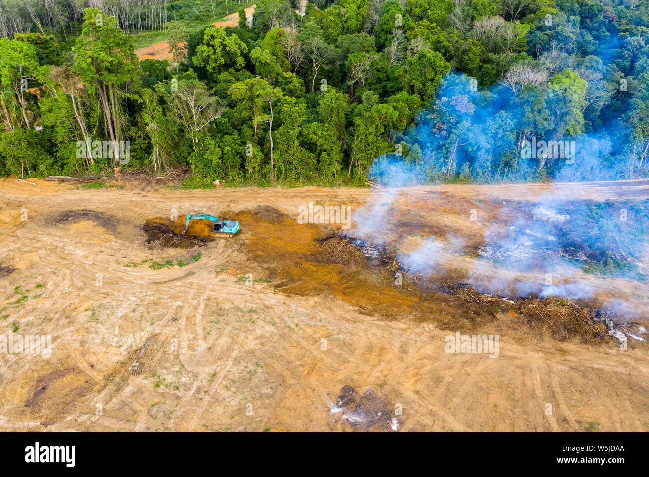 Aerial drone view of tropical rainforest deforestation to clear land ...