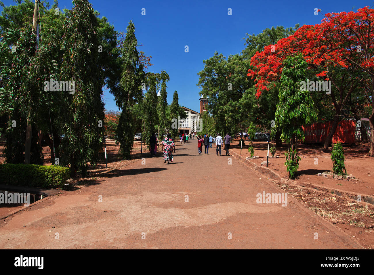 The church in Moshi city of Tanzania, Africa Stock Photo - Alamy