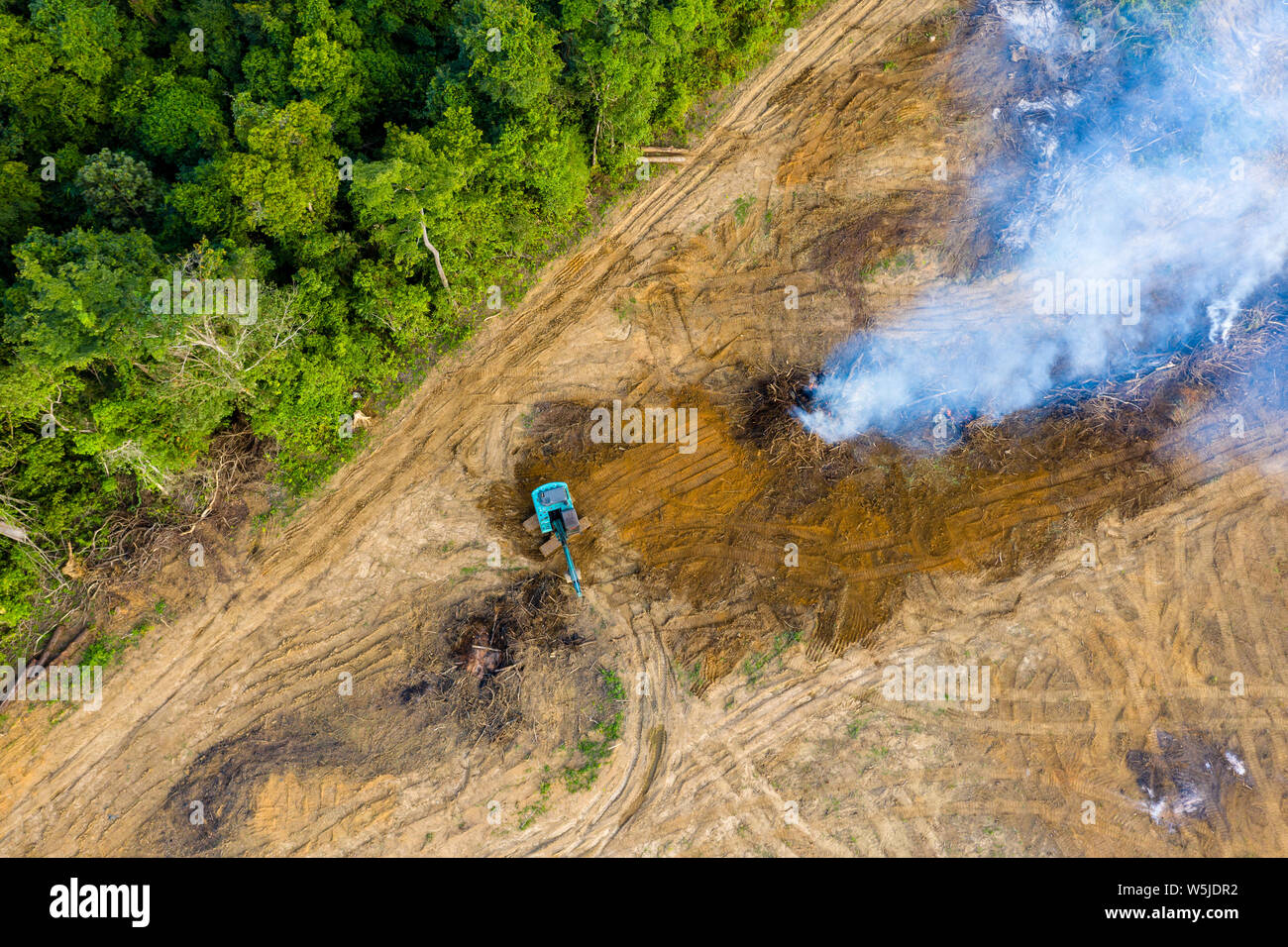 Deforestation rainforest hi-res stock photography and images - Alamy