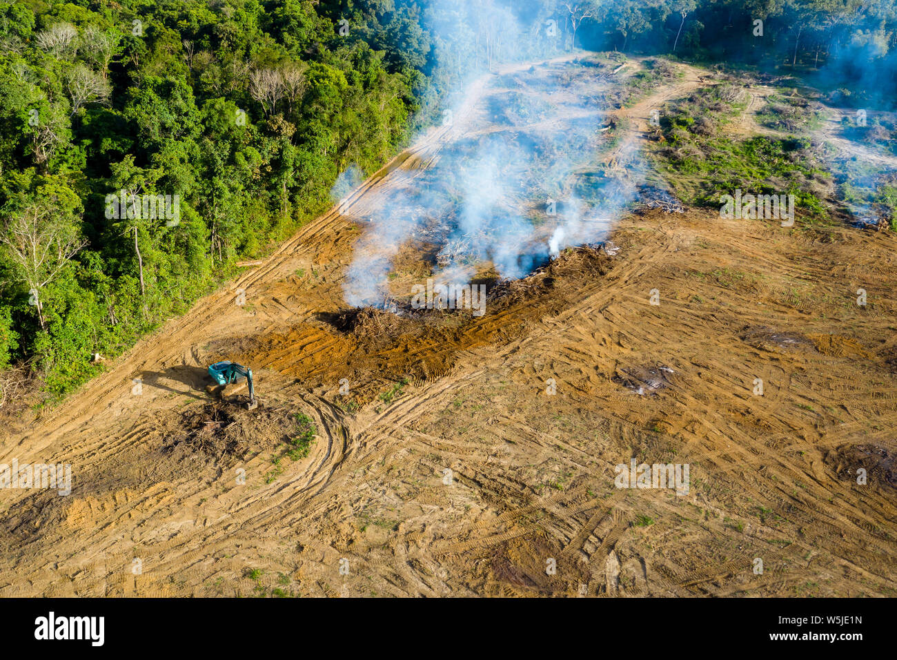 Aerial drone view of tropical rainforest deforestation to clear land ...