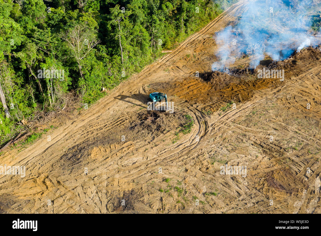 Aerial drone view of tropical rainforest deforestation to clear land ...