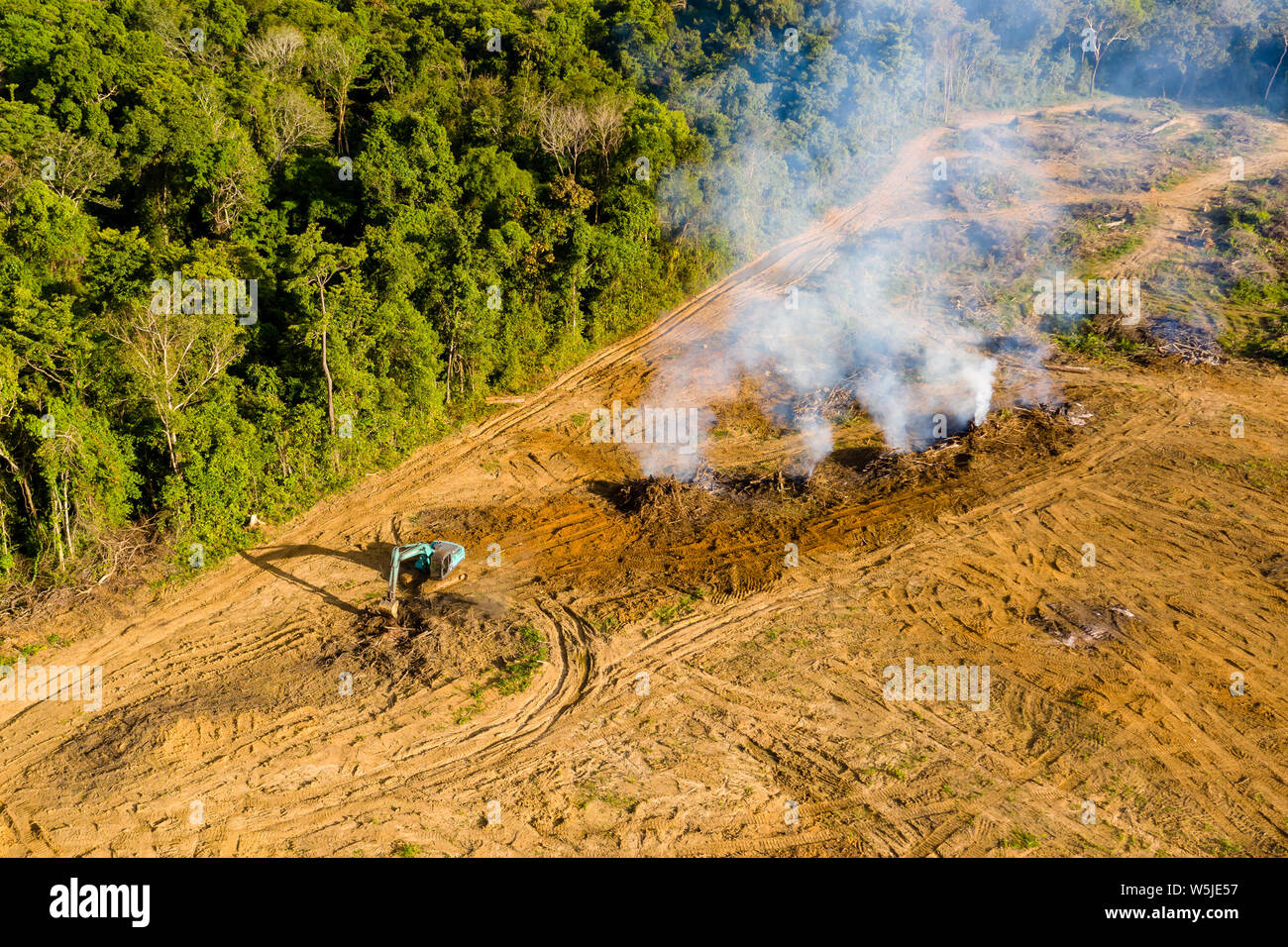 Indonesia Deforestation Palm Oil Forest High Resolution Stock ...