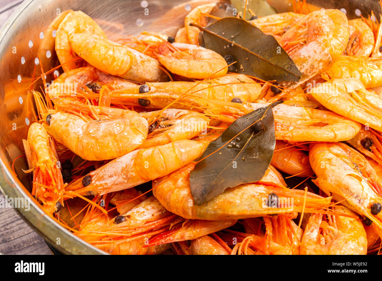Cooked Atlantic prawns flow around in a stainless steel colander Stock ...