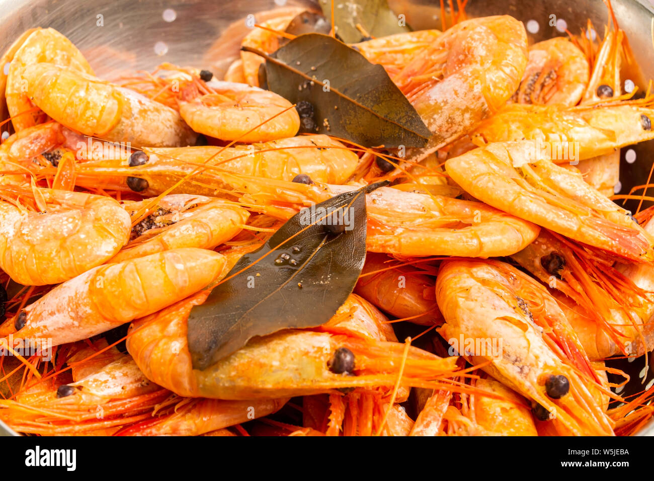 Cooked Atlantic prawns flow around in a stainless steel colander Stock ...