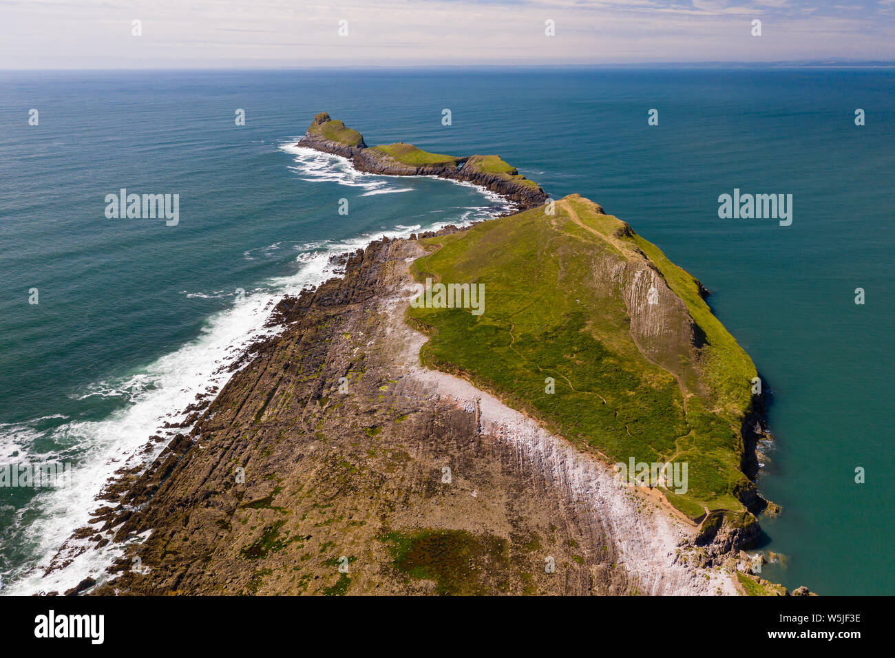 Worms head hi-res stock photography and images - Alamy