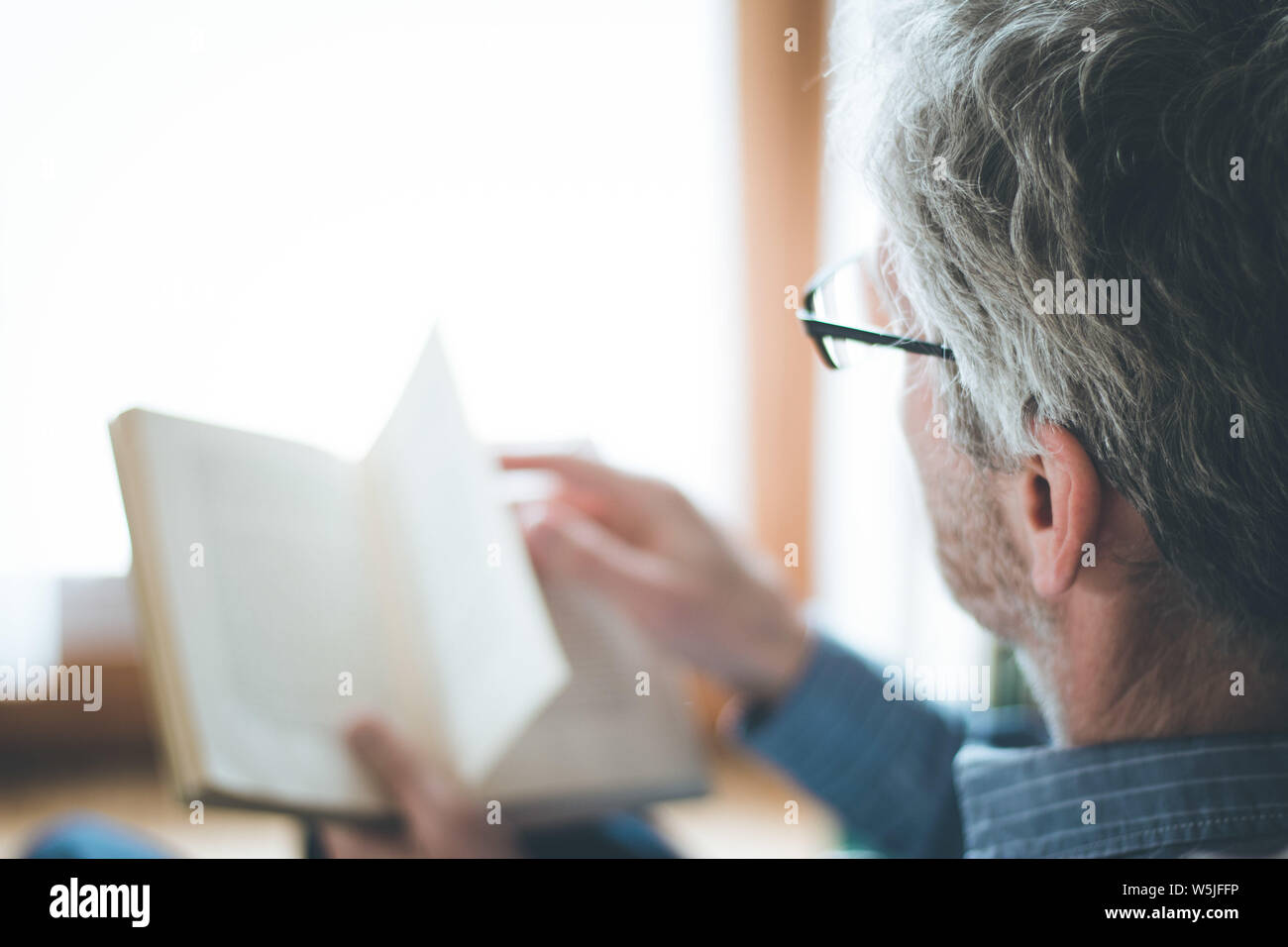 Cut out picture of a senior man who is reading a book at home Stock ...