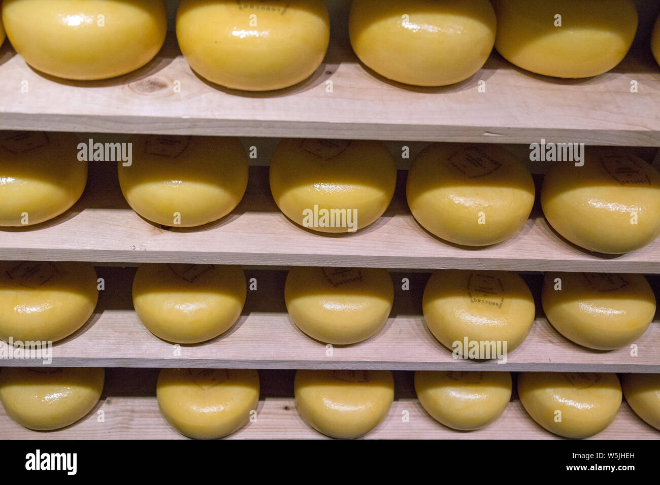 Cheeses on sale at Volendam Cheese Factory near Amsterdam, Holland ...
