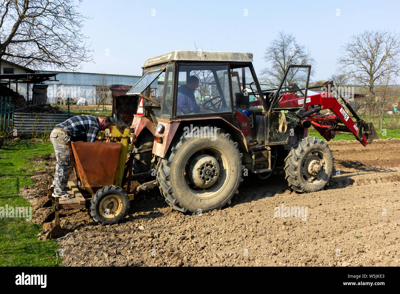 Two men sowing young potatoes with the help of a tractor in rural ...